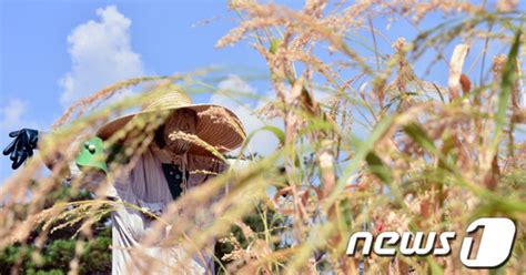 세계식량가격 6개월 연속 하락우크라 확전 가능성에 곡물은 소폭 상승