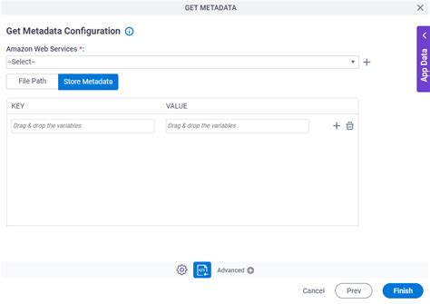 Get Metadata Activity