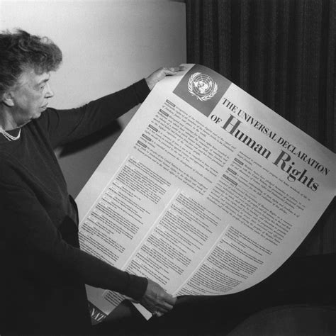 Universal Declaration Of Human Rights Radmir Volk
