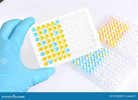 Enzyme Linked Immunosorbent Assay Or Elisa Plate Stock Image Image Of Analyzing Laboratory