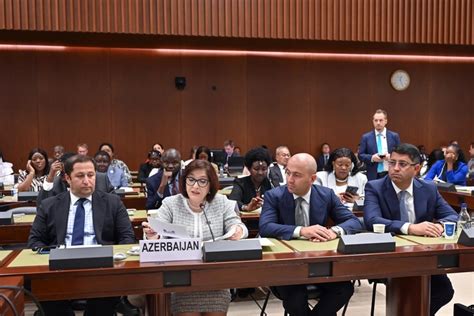 Speaker Successful Implementation Of Sdgs Depends On Comprehensive Approach Report Az