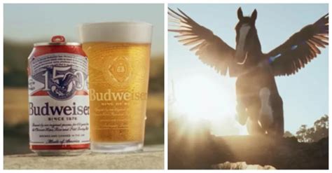 Budweiser Super Bowl Commercial Reclaims Top Spot For Best Ad Watch