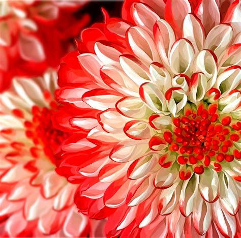 6 2 Update On Android And Ios — Sketchbook