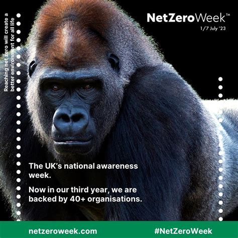 net zero week™ on linkedin netzeroweek 1 7 july backed by hm