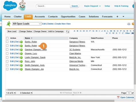 Duplicate Leads And Contacts Customguide