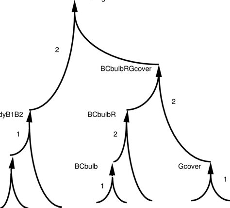A Portion Of The Ashlight Assembly Hypergraph The Operations With The Download Scientific