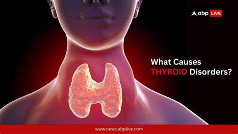 What Causes Thyroid Disorders Know Symptoms Tests And Importance Of Early Diagnosis
