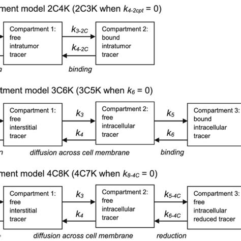 A Two B Three And C Four Tissue Compartment Models Used To Analyze Download Scientific