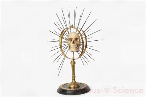 Craniometer Curious Science