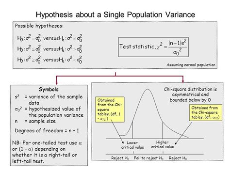 Hypothesis Practice Using Scenarios Answer Key Unveiled