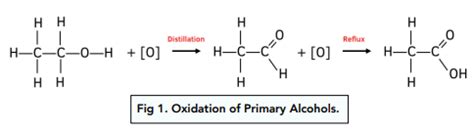 Alcohol Oxidation Exam Corner