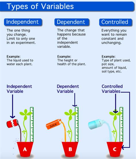 Control Variable In Science