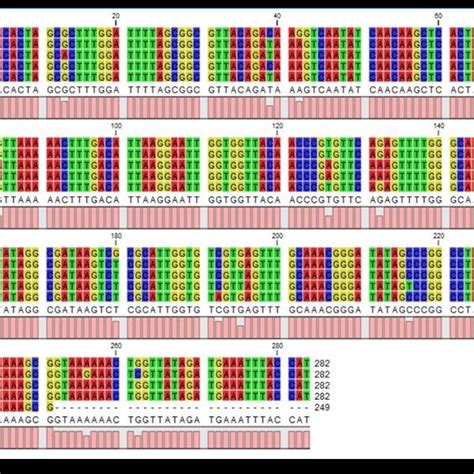 Multiple Sequence Alignment Conducted By Clc Sequence Viewer 80 Of Download Scientific