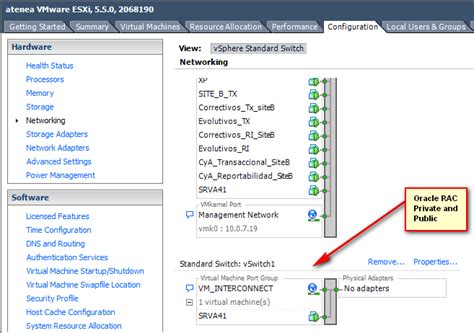 Rac Deployment Vmware Oracle Skills