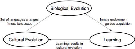 Figure 21 From Semantic Structures Communicative Strategies And The