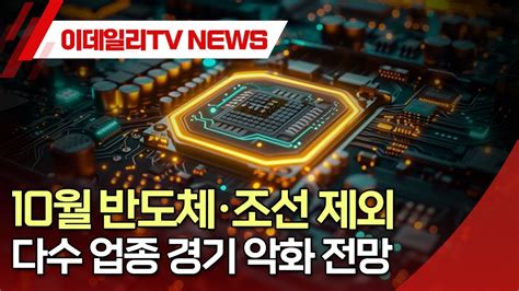 10월 반도체·조선 제외 다수 업종 경기 악화 전망 20240923 Youtube
