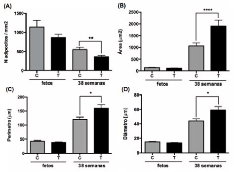 Comparison Of Morphological Parameters In Visceral Fat A Number Of Download Scientific