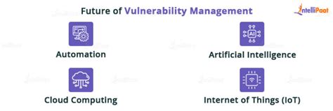 Vulnerability Management Meaning Tools And Process