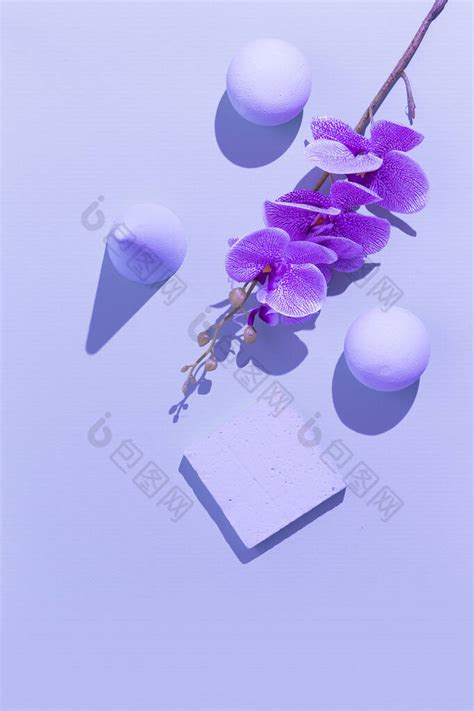 抽象几何和花卉最小背景柔和的紫色流行色彩图片 包图网企业站