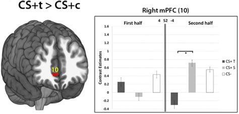 Results Of The Contrast Cst Csc Within The Mpfc Roi 10 Download Scientific Diagram
