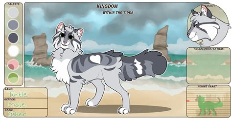 Turtle Application By Moondoodles7 On Deviantart