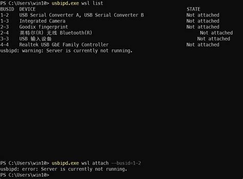 USBIP Device Host Service Stopped Running May Cause Automatic Disconnection If Not Used For A
