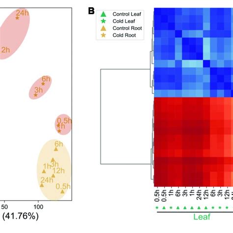 Summary Of Transcriptome Data Of The Datasets A Pca Of Download Scientific Diagram