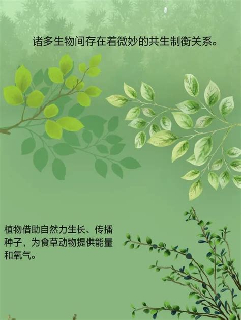 “吔屎啦你！”“好哦~”澎湃号·政务澎湃新闻 The Paper