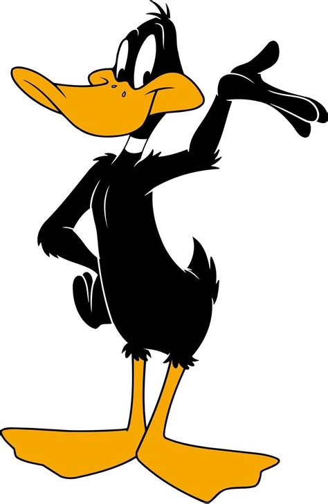 Daffy Duck Wallpaper Browse Daffy Duck Wallpaper With Collections Of Angry Cool Daffy Duck