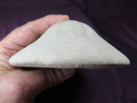 Catálogo De Erizos Fósiles Página 1