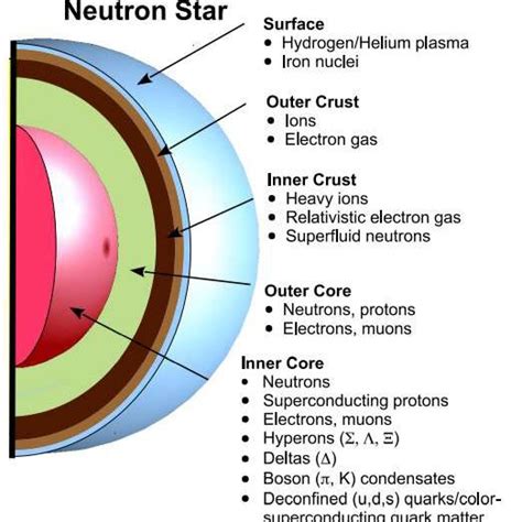 Schematic Structure Of A Neutron Star Figure Modified From Weber Et