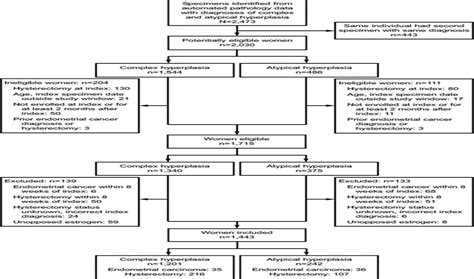 Complex Hyperplasia With And Without Atypia Clinical Outcom