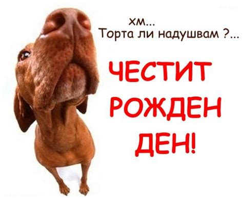 Забавни картички за рожден ден Doo Bg КАРТИЧКИ МОДА РЕЦЕПТИ СЪВЕТИ