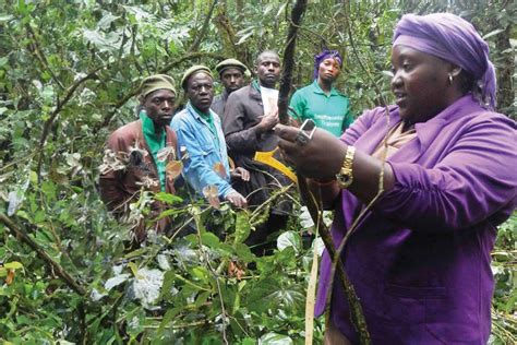 Carbon Verification Smithsonian Tropical Research Institute