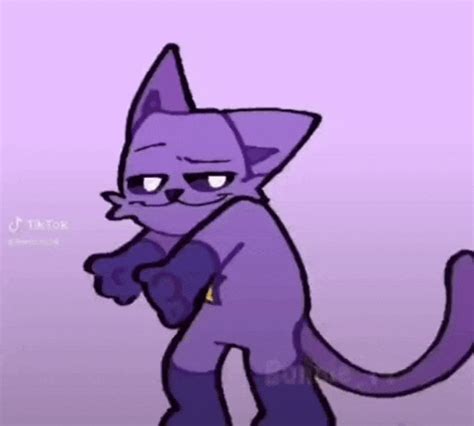 Catnap Dance  Catnap Dance Cat Discover And Share S