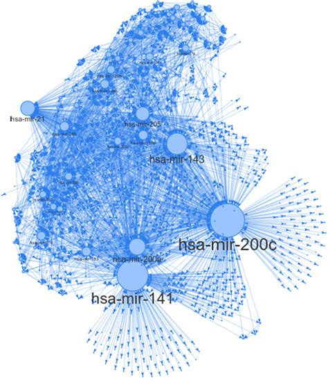 Example Network Generated By The Hybrid Omii Algorithm Nodes And Text Download Scientific