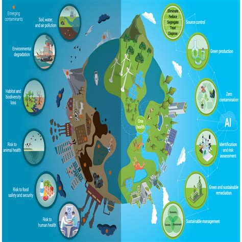 Emerging Contaminants A One Health Perspective The Innovation