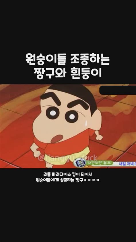 ️짱구덕 ️ ️ 짱구는 못말려 극장판 8기 폭풍을 부르는 정글 짱구 짱구는못말려 크레용신짱 짱구극장판 짱구짤 짱구영상 짱구피규어 짱구굿즈 짱구