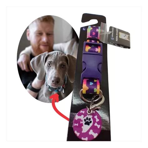 Colar Pet Localizador Qr Code Coleira Azul Lisa Anti Fujão Mercadolivre