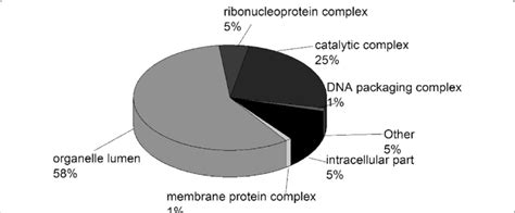 Classification Of SCP By The Cellular Component Gene Ontology GO Download Scientific