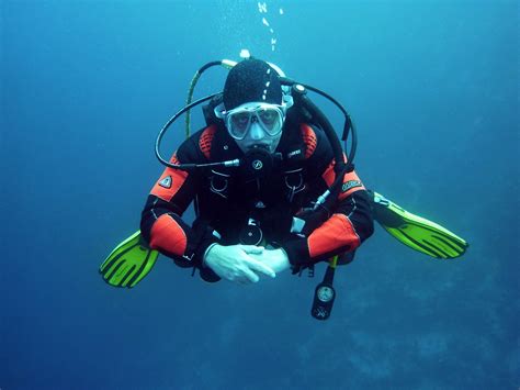 La Plongée Sous Marine Ce Quil Faut Savoir Avant De Débuter
