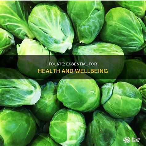 Folate Essential For Health And Wellbeing Shunketo