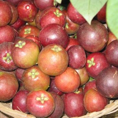 Kokum Only Foods