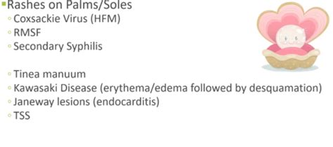 CMPP Test 5 Infectious Disease Flashcards Quizlet