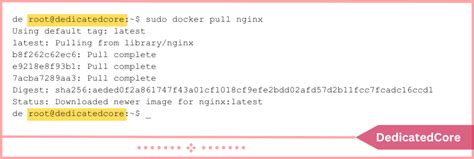 Add SSH Into Docker Container Debug Look Options