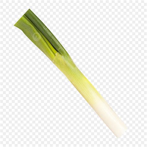 파 일러스트 파 잎 야채 Png 일러스트 및 Psd 이미지 무료 다운로드 Pngtree