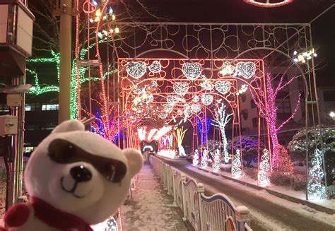 화천군 드디어 곰이 엉아가 살고 있는 화천군청에도 선등이 켜졌다 밝아지니까 넘 좋다 하트터널도