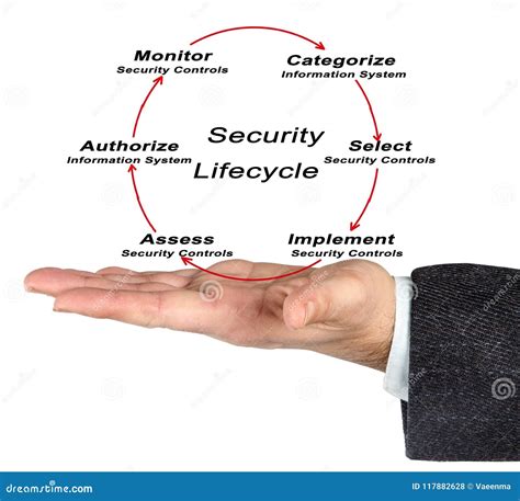 Security Life Cycle Stock Photo Image Of Expert Controls 117882628