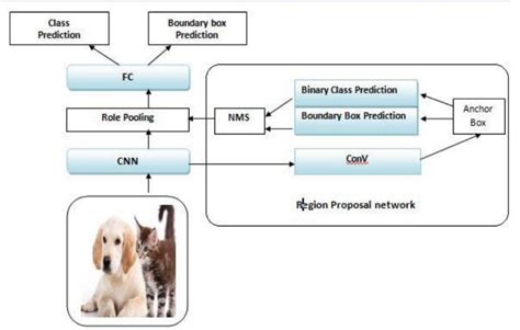Comparison Of Object Detection Algorithms Cnn Yolo And Ssd