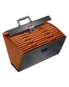 Case Files Expanding Filing Filing